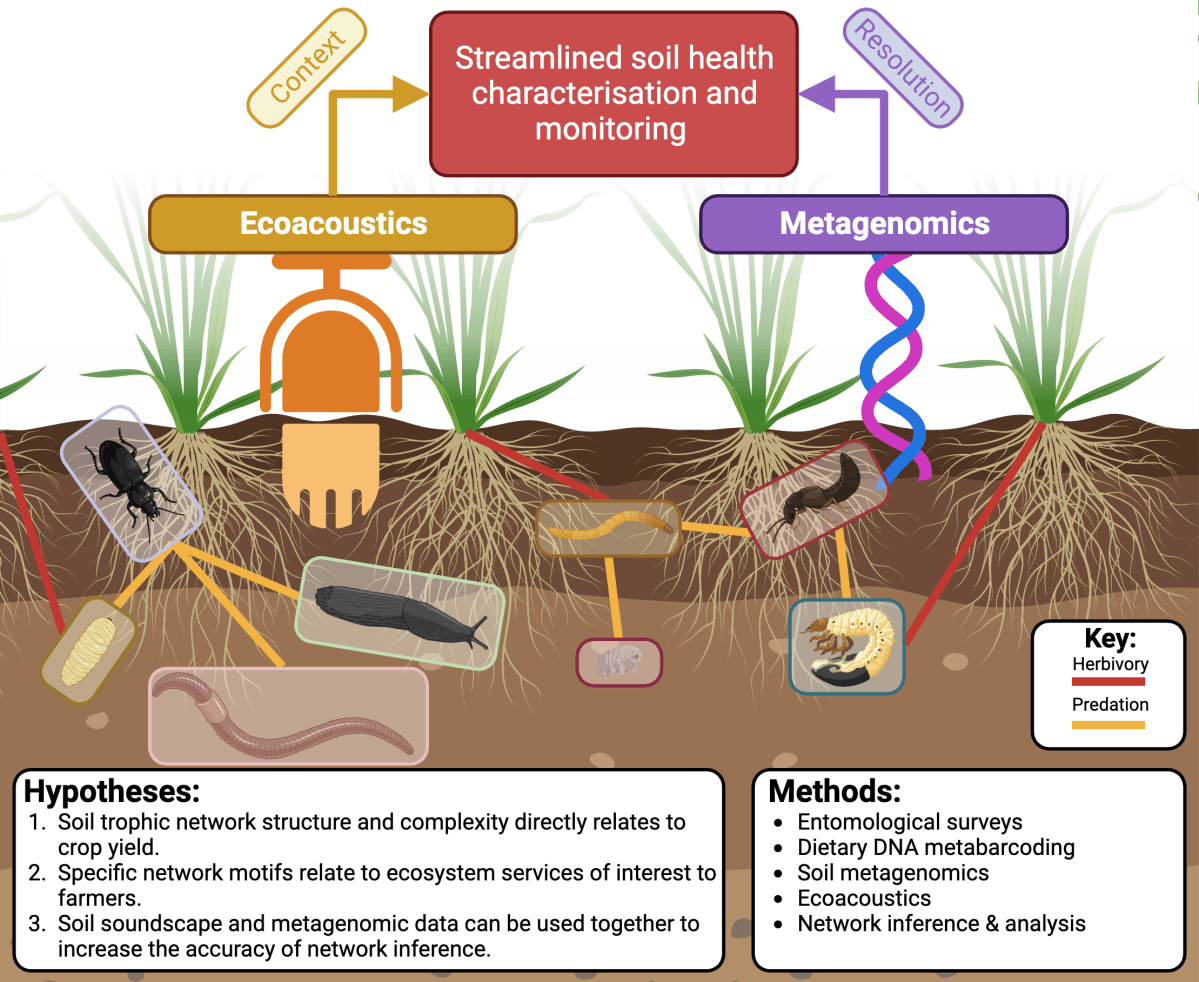 PHD STUDENTSHIP: Building belowground invertebrate trophic networks for ...